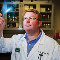 Andrew Wilber Resume/CV | Southern Illinois University School of ...