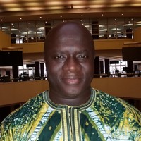 Madi Jobarteh - Independent Researcher