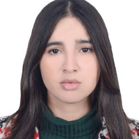 Safae SISSAH - Independent Researcher