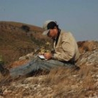 David Moyer - Independent Researcher