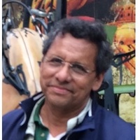 Nicolas Alonso-vante - University of Poitiers