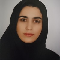 samaneh salek - Independent Researcher