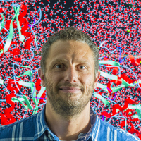 William H Bisson - Oregon Health & Science University