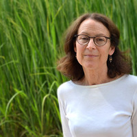 Fruzsina Stefán - University of Natural Resources and Life Sciences ...