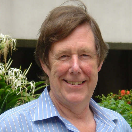 (PDF) Structured illumination microscopy and image scanning microscopy ...