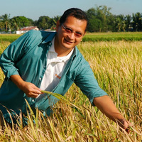 Leocadio S Sebastian - International Rice Research Institute