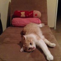 Georgia Basina - National Centre of Scientific Research "DEMOKRITOS"