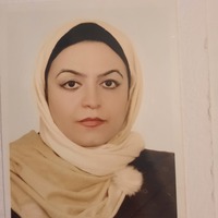 Judith A. Lerner | Independent Researcher - Academia.edu