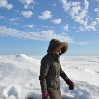 Laura E Kelvin - University of Manitoba
