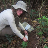 Jennifer Watling - Universidade de São Paulo