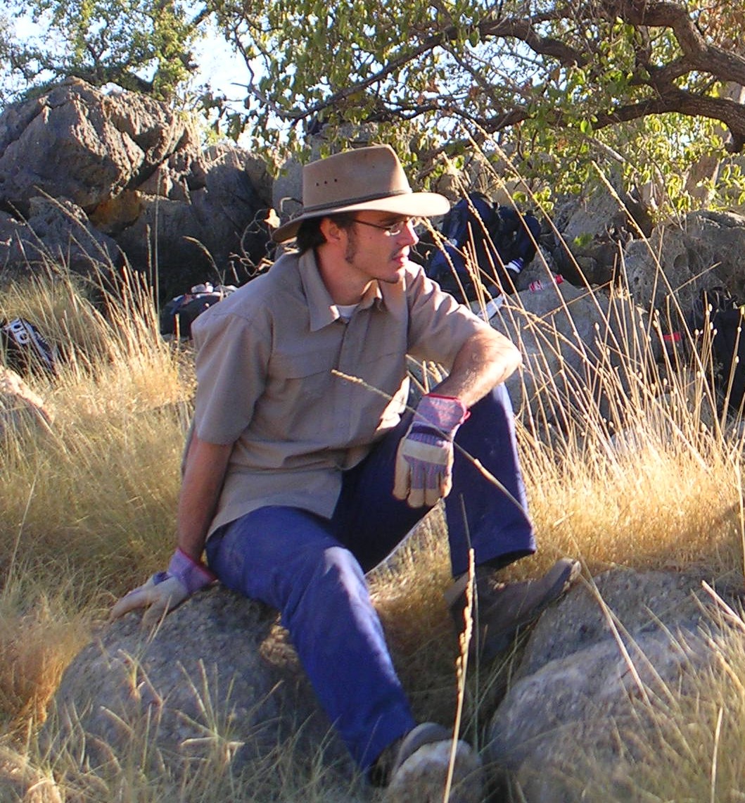 (PDF) New perspectives on ancient marine reptiles | Benjamin P. Kear ...