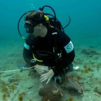 Brigid Clark - Academia.edu