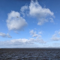 Rachel Hand - National University of Singapore