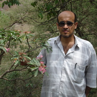 esam aqlan - Ibb University