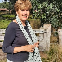 (PDF) Interactive art | Nong Jidong - Academia.edu