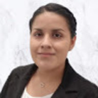 Ivonne Castillo - Independent Researcher