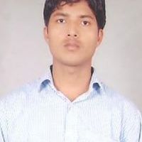 Ravi Raj - Independent Researcher