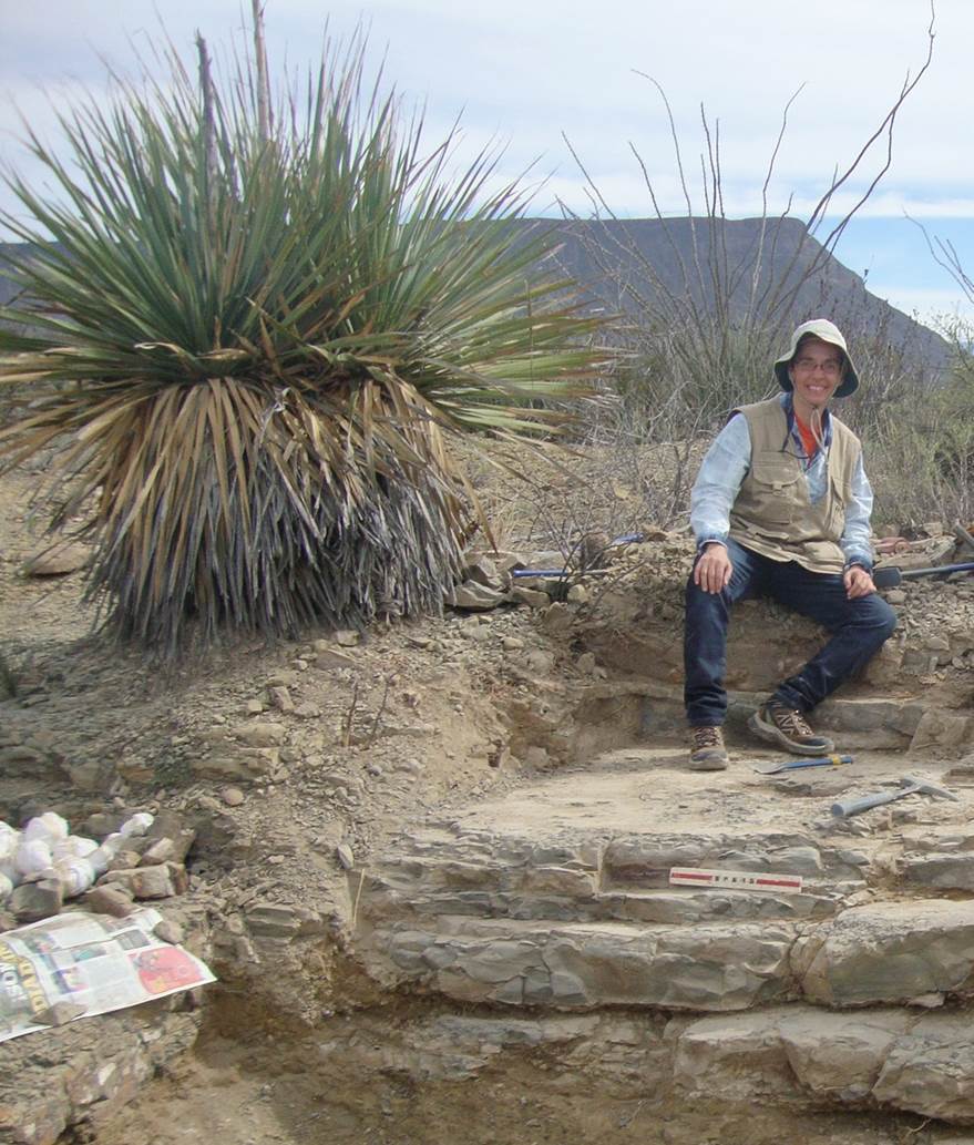 (PDF) Latirhinus uitstlani, a ‘broad-nosed’ saurolophine hadrosaurid ...