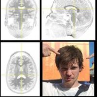 Neil Bramley - New York University