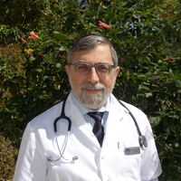 Marco Harari - The Hebrew University of Jerusalem