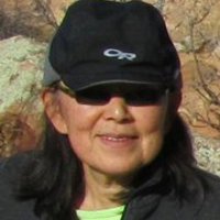 Hideko Abe - Independent Researcher