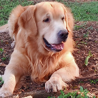 Kushal Deb - Indian Institute of Technology Bombay