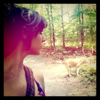 Lisa A . Daily - New York University