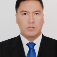 Gustavo MEGO JULCA - Universidad Nacional Pedro Ruiz Gallo