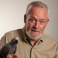 Stephen Anderson | Yale University - Academia.edu