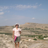 Anna Antonini - Independent Researcher