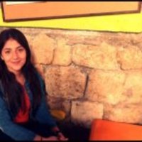 Gamze Gürbüz - Independent Researcher