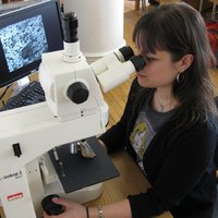 Marie-Michelle Dionne - Université Laval