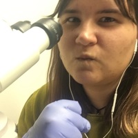 Tugce Koseoglu - İZMİR INSTITUTE OF TECHNOLOGY