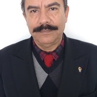 Vicente Carrillo-Maciel - Univercidad autonoma de coahuila