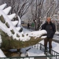 Yukimitsu Tomida - National Museum of Nature and Science