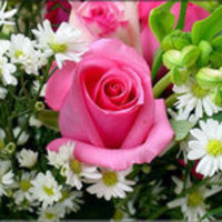 Donatella Termini - Università degli Studi di Palermo