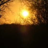 Wolfgang Spickermann - University of Graz