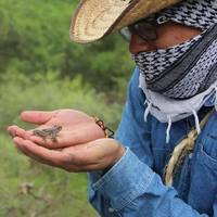 Alejandro Arteaga - Universidad Nacional Autónoma de México