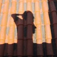 Danai Liodaki - Leipzig University (Universität Leipzig)