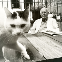 Ian Glover - University College London