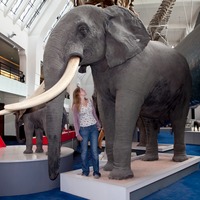 Victoria Herridge - Natural History Museum, London