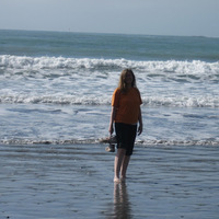 Suzanne Kemmer - Independent Researcher