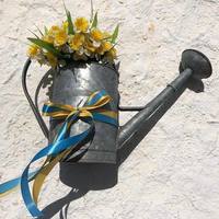 Olena Fomenko - University of Denver