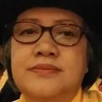 Evy Indrawati Siregar - University of Exeter