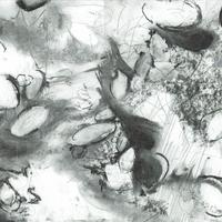 Sarah Scaife - University of Exeter