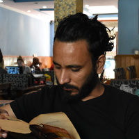 Showkat A H M A D Mir - Independent Researcher