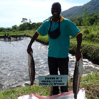 Samwel Limbu - University of Dar es Salaam