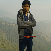 usama riaz - Independent Researcher