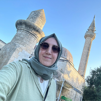 Merve B. Saçlı - Mersin University