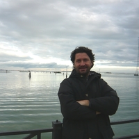 Alberto Vigoni - Independent Researcher